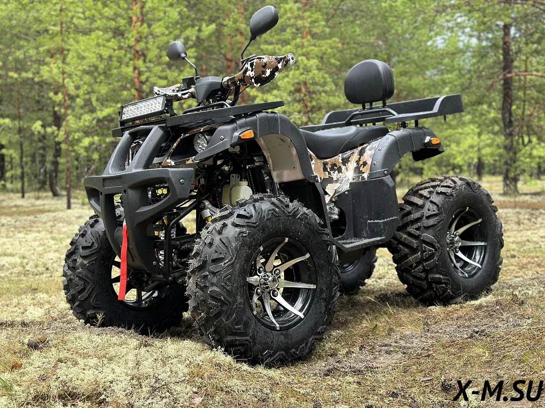Квадроцикл PROMAX 320 DOMINATOR PRO – купить в Краснодаре в интернет ...